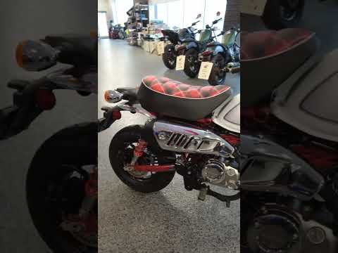 2024 Honda MC Monkey!