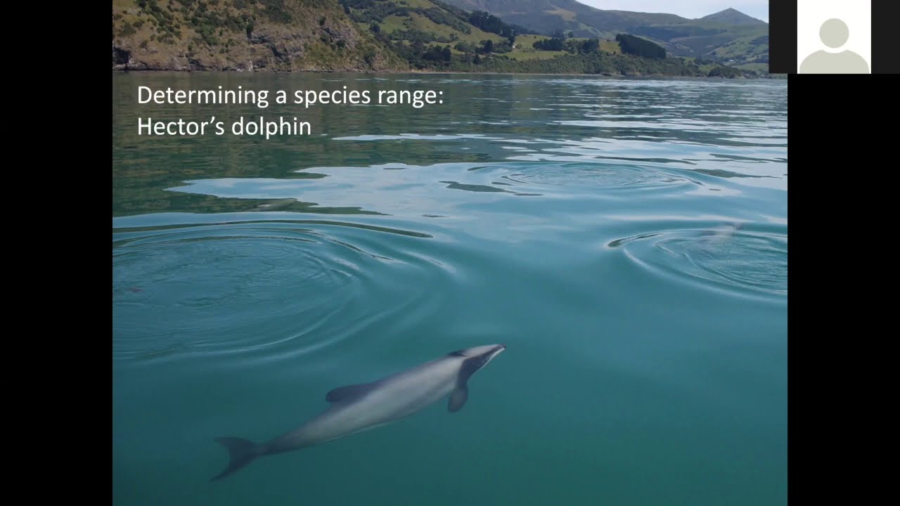 Investigating cetacean bycatch with Dr Nick Tregenza