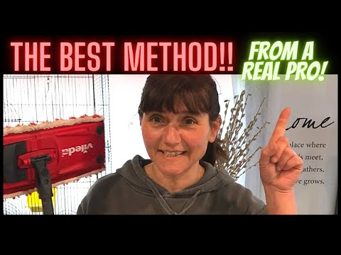 How to Clean a Ceiling Like a Pro! | The BEST Method!