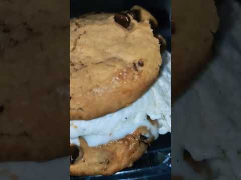 CHOCOLATE CHIP ICE CREAM SANDWICH