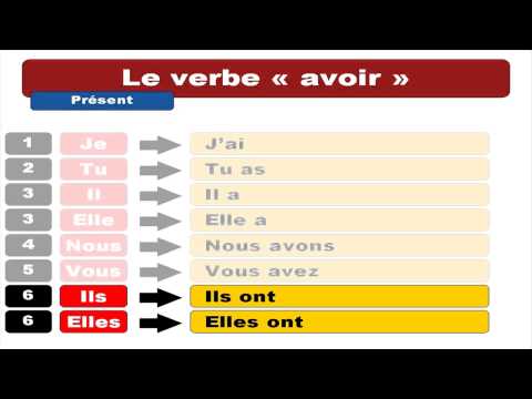 French in English # le verbe avoir