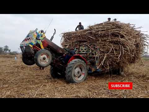 Dangerous Stunts Of MF 265 Tractor With Heavy Load Of 22000 Kg Suga...