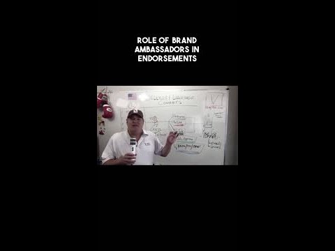 Unlocking the Power of Brand Ambassadors!