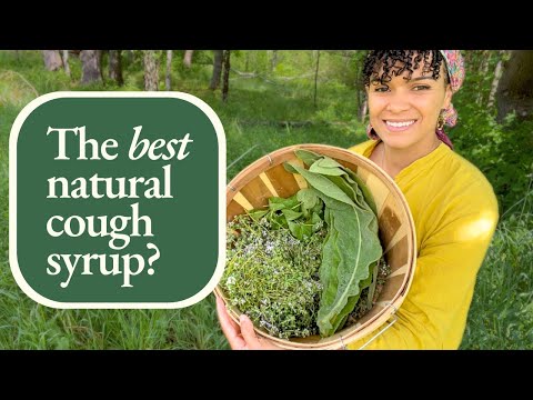Homemade Cough Syrup That Works! Just 3 Herbs!