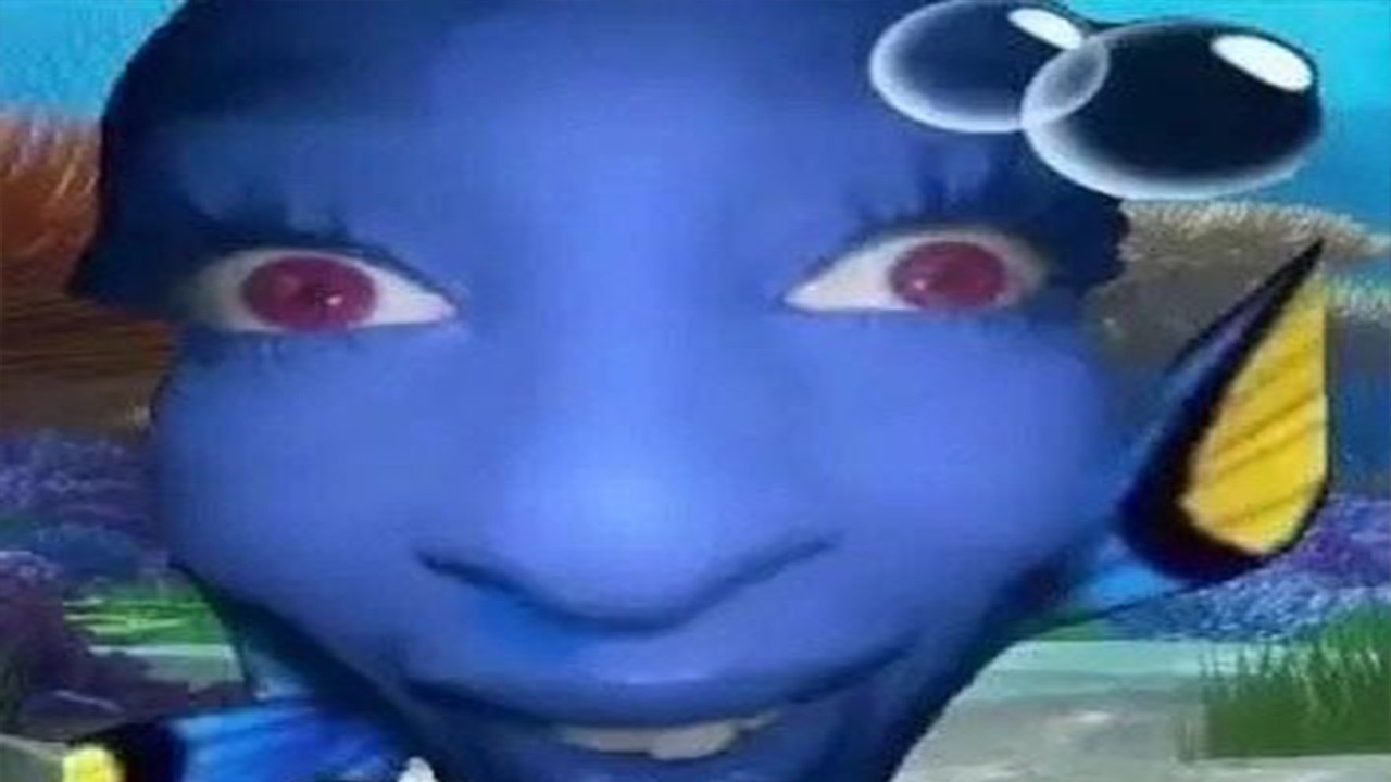 Top 5 Nemo