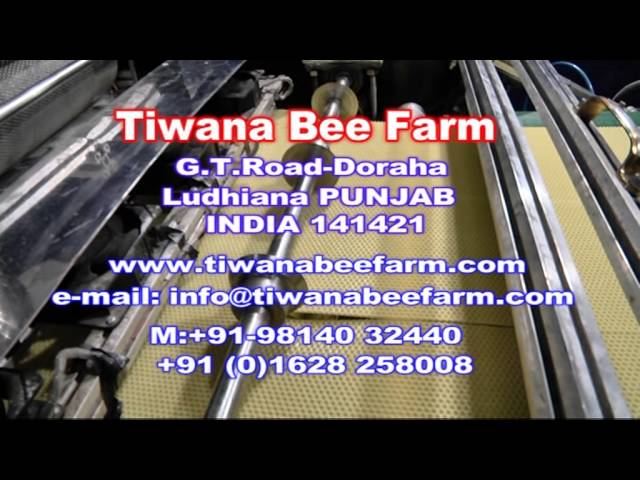 Beewax Sheets - Computerized Automatic Comb Foundation Mill ...