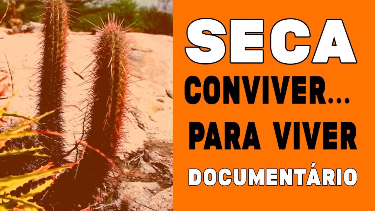 SECA CONVIVER PARA VIVER | Documentário