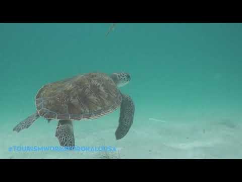 WATCH: #TourismWorksforOkaloosa - What is the TDD? What is bed tax?