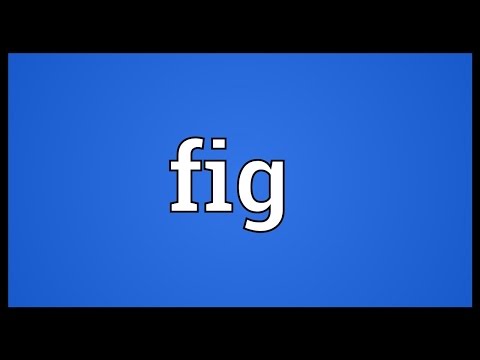 Fig Meaning