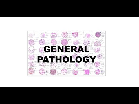 Pathology practical part 8