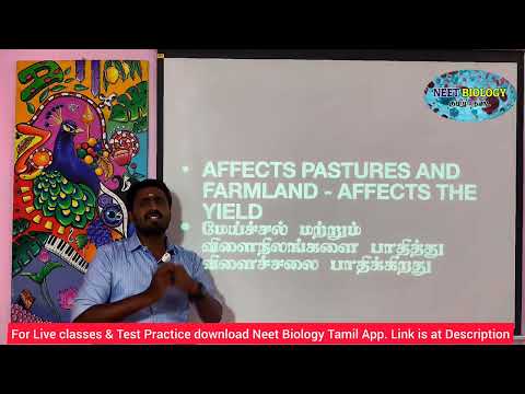 PARTHENIUM HYSTEROPHORUS | TAMIL | ALIEN INVASIVE SPECIES | ENVIRONMENTAL ISSUES | STD 12 | TRB