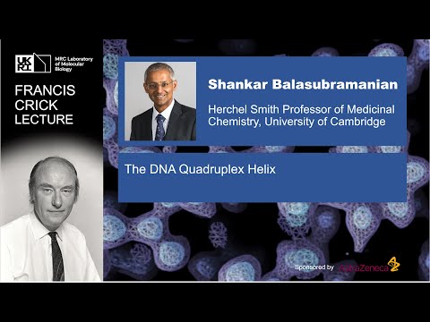 Crick Lecture 2025: The DNA Quadruplex Helix by Shankar Balasubramanian