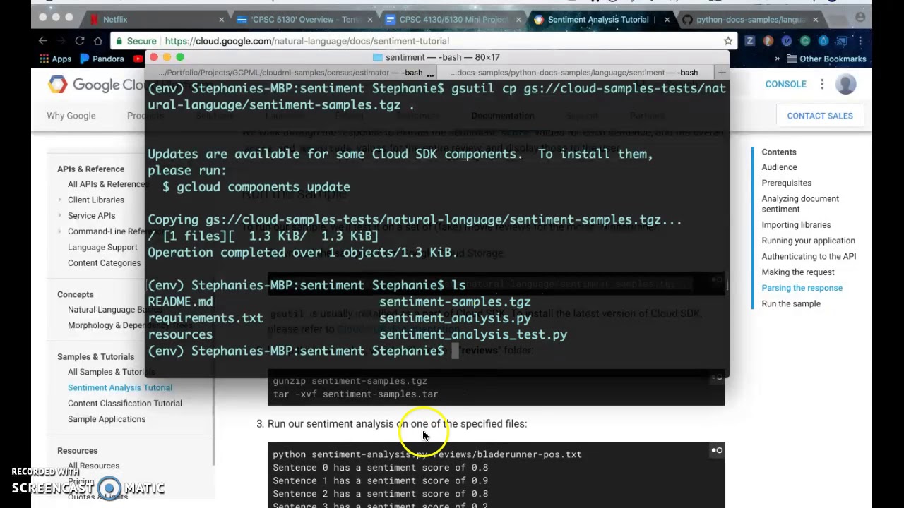Google Cloud Platform: Natural Language API tutorial