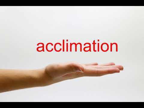 How to Pronounce acclimation - American English