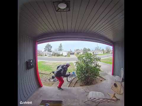 Pillaged by a "Porch Pirate"