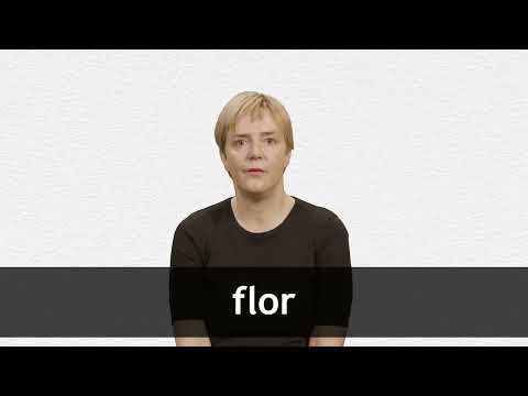 English Translation of “FLOR” | Collins Spanish-English Dictionary
