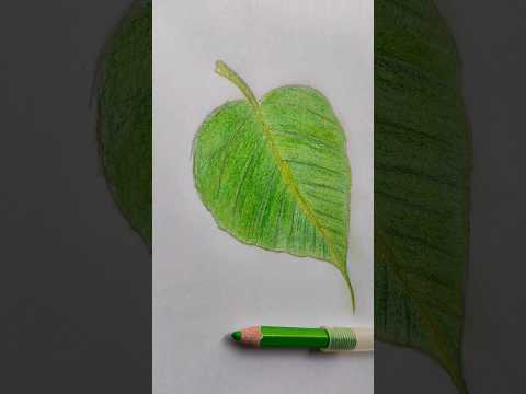 peepal tree leaf drawing #art #shorts #shortvideo