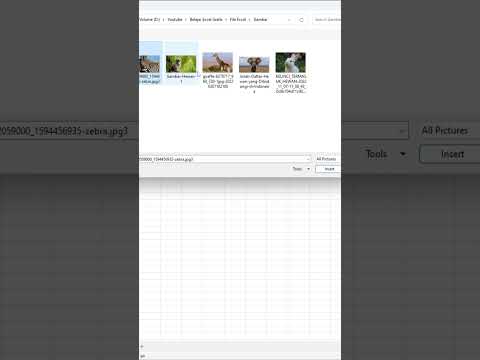 Cara Memasukkan Gambar ke Excel #tipsexcel