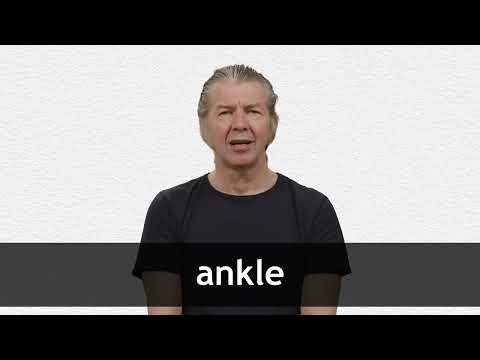 ANKLE 释义 | 柯林斯英语词典