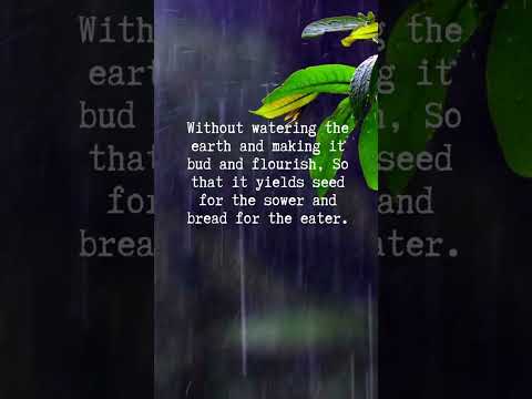 God’s Word Will Not Return Void