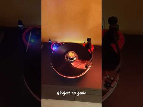 pro-ject genie 1.3, nagaoka mp-110. playfull setup. #project #turntable #vinyl #purelove