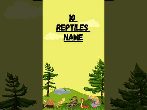 10 Reptiles Name | #rrkidslearningtv #kindergarten #shorts #reptiles