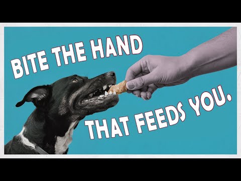 Bite the Hand that Feeds You: Idiom Meaning and Origin