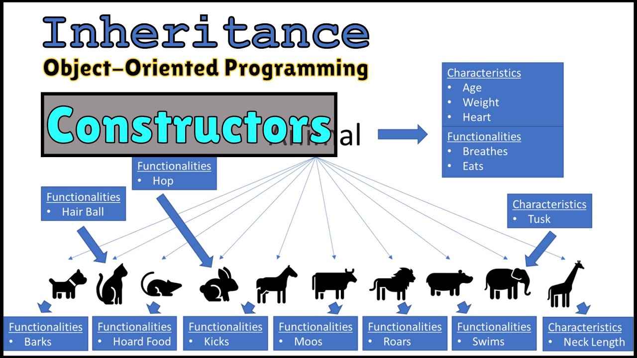 How Constructors Work with Inheritance in Object Oriented Programming