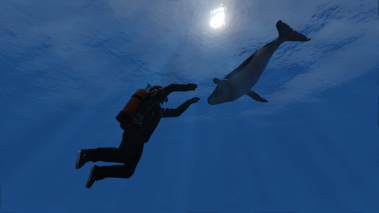 [FREE] Diving Job - Fivem script | ESX - FiveM Releases - Cfx.re Community