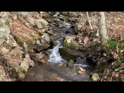 Ken Lockwood Gorge Wildlife Management Area