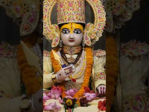 श्री कनक भवन बिहारी बिहारनी जी सरकार अयोध्या धाम #Ayodhya #Kanakbhwan