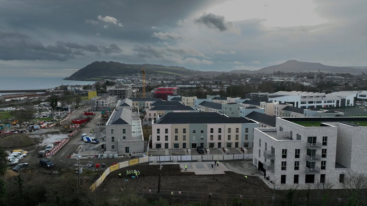 Planting native Irish trees across the island - 100 Million Trees Project