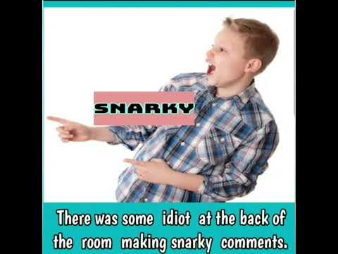 Snarky meaning
