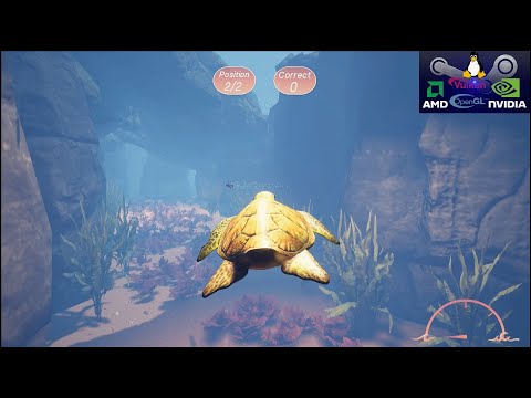Steam Community :: Video :: Turtle Racer episode