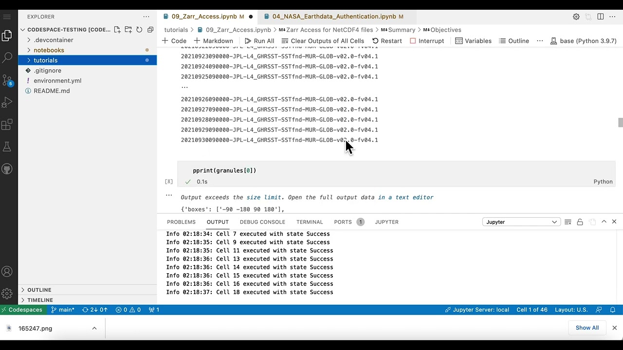 GitHub codespaces - customizing a Python environment