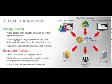 ECN Forex Trading