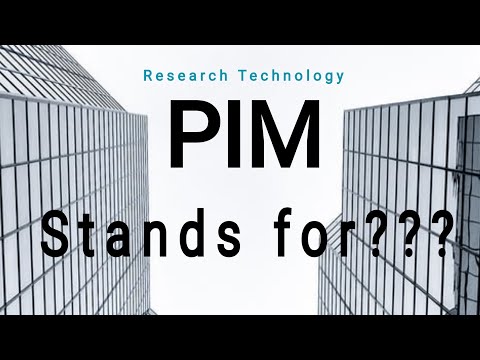 What is PIM Stands for???