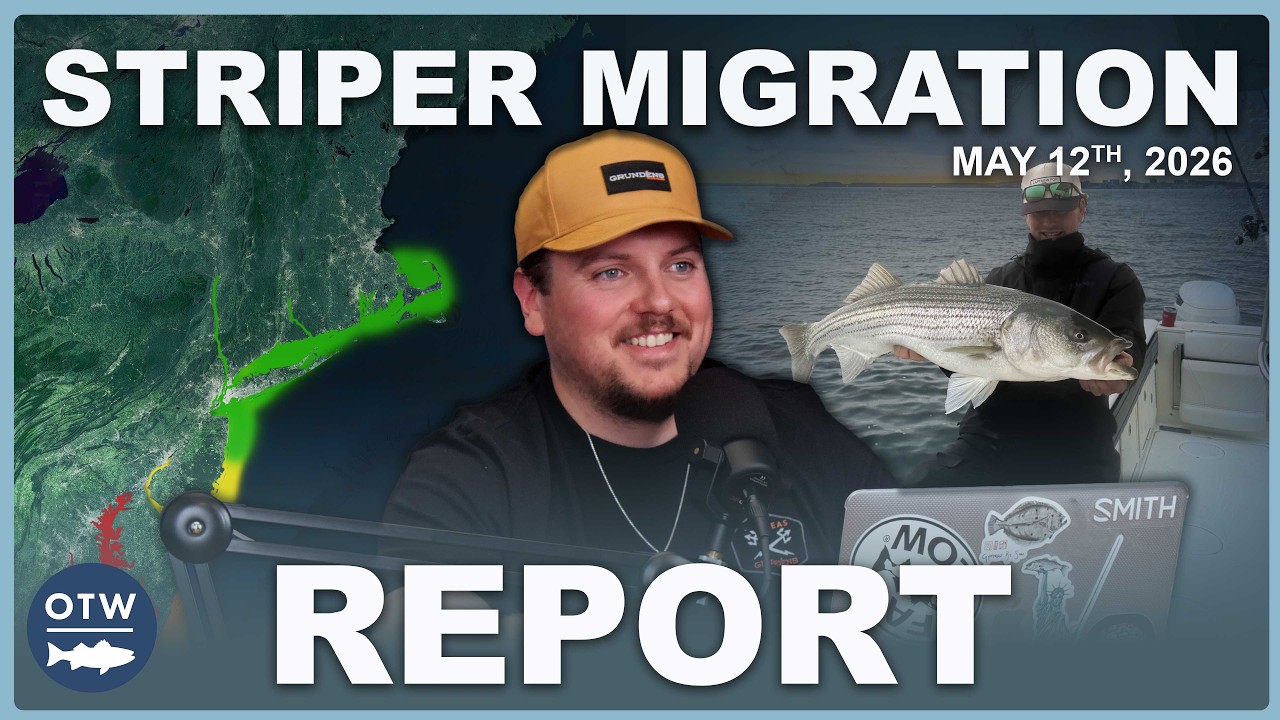 Striper Migration Report | May 12th, 2026