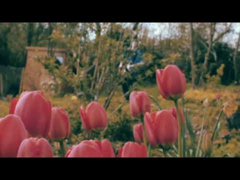 Isaac Anderson - Light Me In Red (Visualiser) | Music Video, Song ...