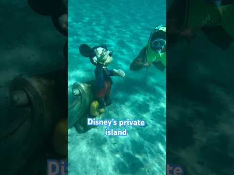 Snorkeling ???? on Disney’s private island! #disneyworld #cruise