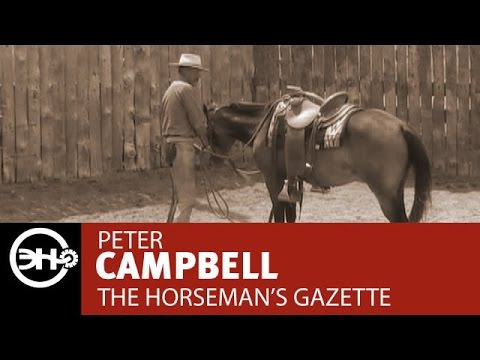 Legacy Colt Part 1 – Groundwork and Ride with Peter Campbell – Eclectic ...