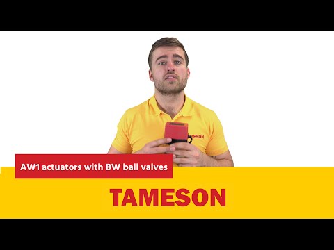 AW1 actuators with BW ball valves | Tameson