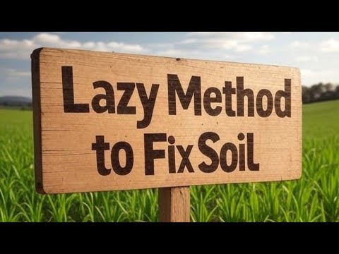 How to Fix Your Soil Without Turning It Once The - 'No Dig' Secret