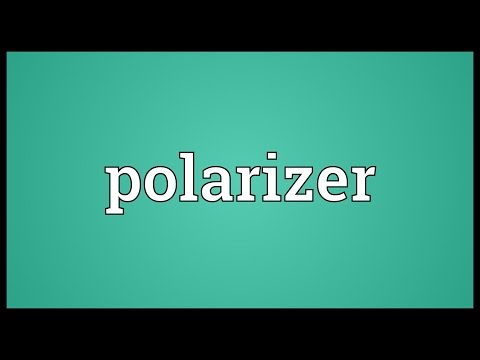 Polarizer Meaning