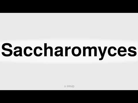 How to Pronounce Saccharomyces