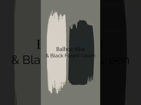 What Colors Go With Benjamin Moore Chelsea Gray