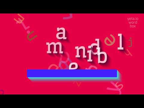 MANDIBLE - HOW TO SAY MANDIBLE?