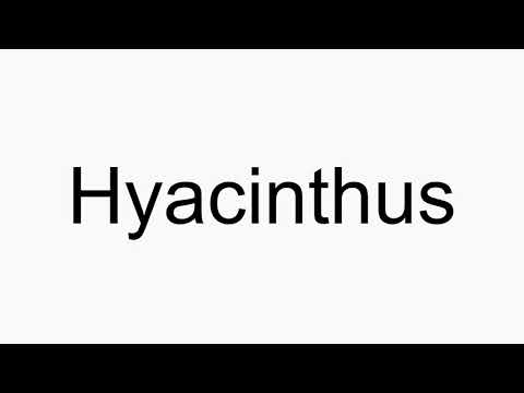 How to pronounce Hyacinthus