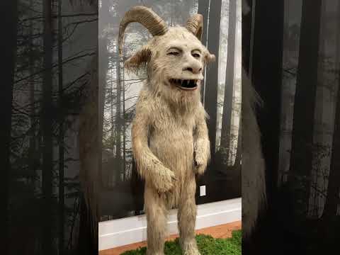 Where the Wild Things Are !