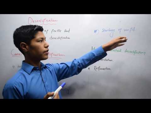 What is Desertification? | Causes & Consequences | Biodiversity